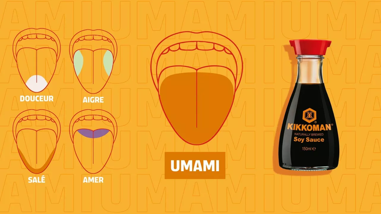 Tout sur l'umami | Kikkoman