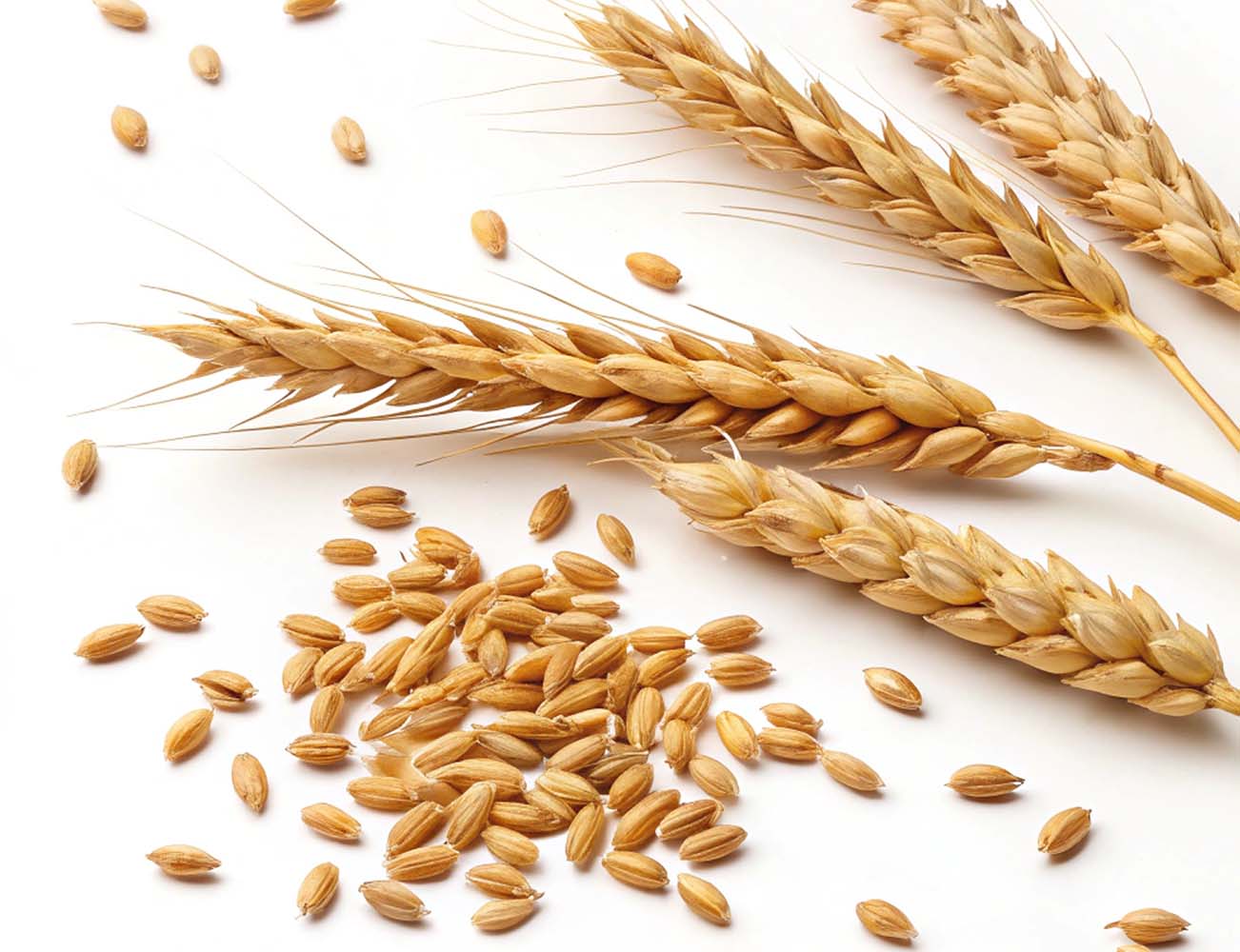 Qualité incomparable | Kikkoman